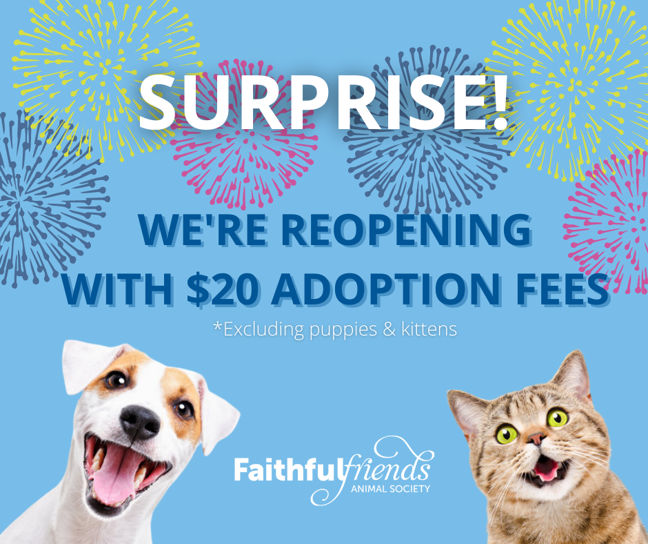 Faithful Friends Animal Society – For A Kinder Community