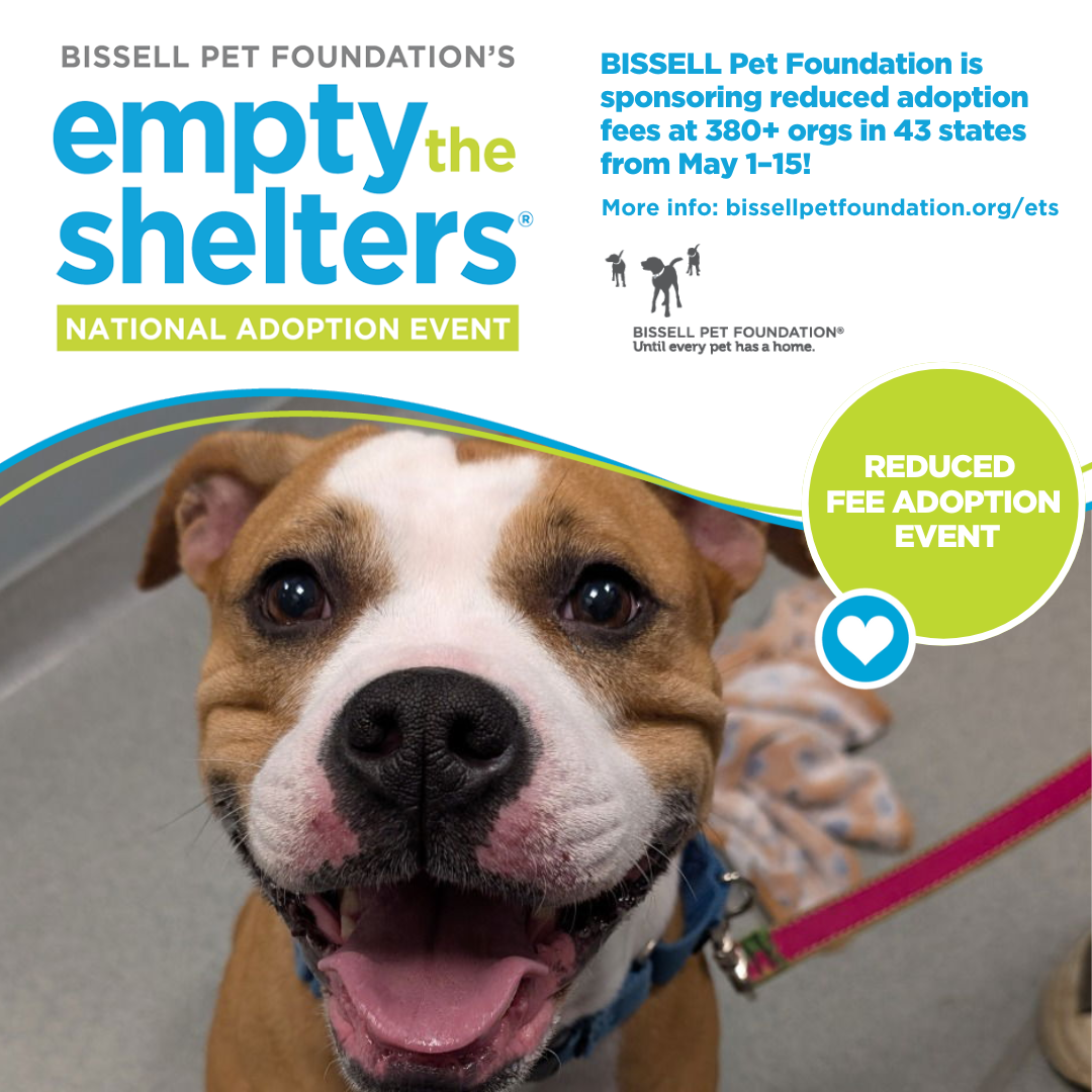 Contact – Faithful Friends Animal Society
