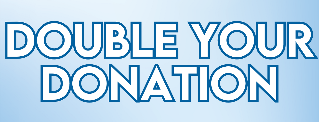 Fostering a Pet FAQ – Faithful Friends Animal Society