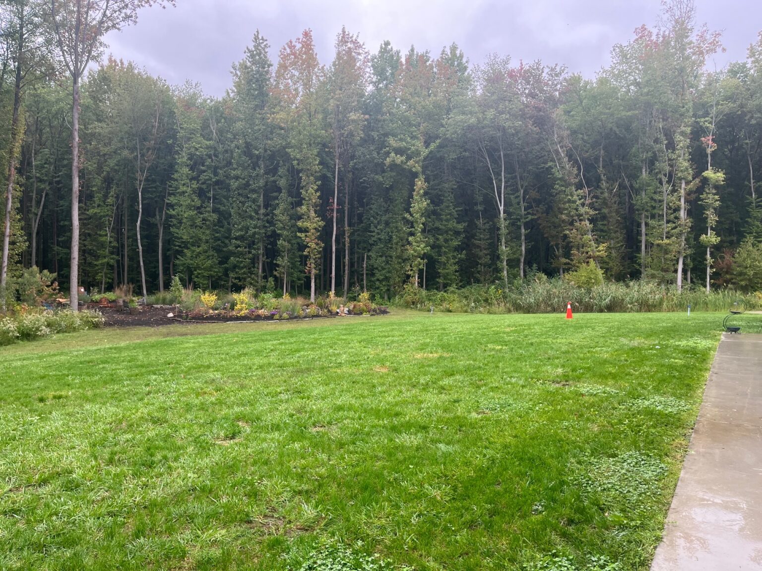 GRAND OPENING: Sharon Struthers Animal Adoption and Community Center ...