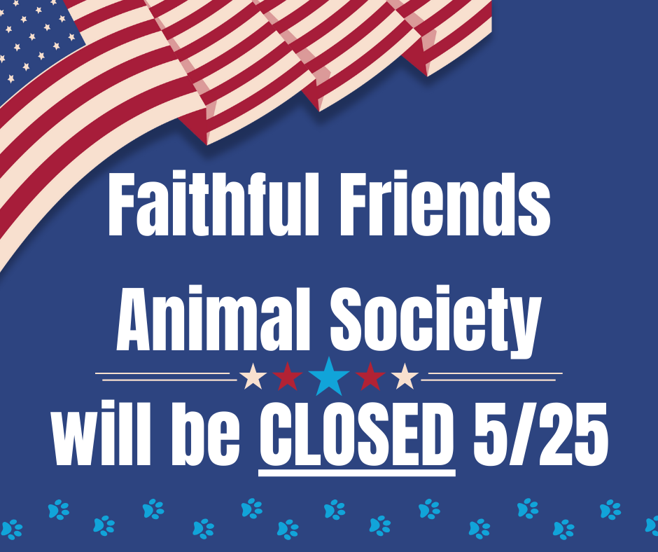 Careers – Faithful Friends Animal Society